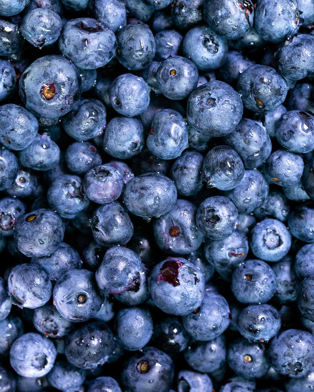 Serious Bulk Fruit Range – Seriously Healthy